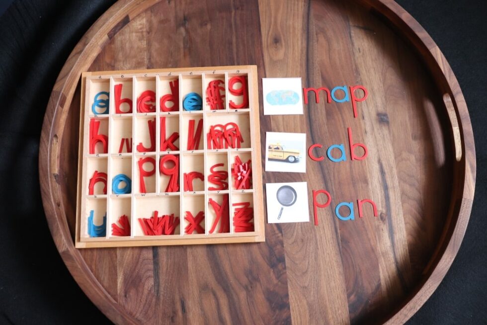 Montessori Elementary Language Materials for Home and School