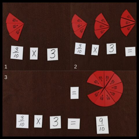 The Montessori Fraction Circles for Elementary
